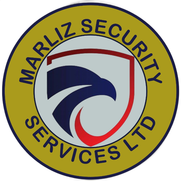 About Us - Marliz security